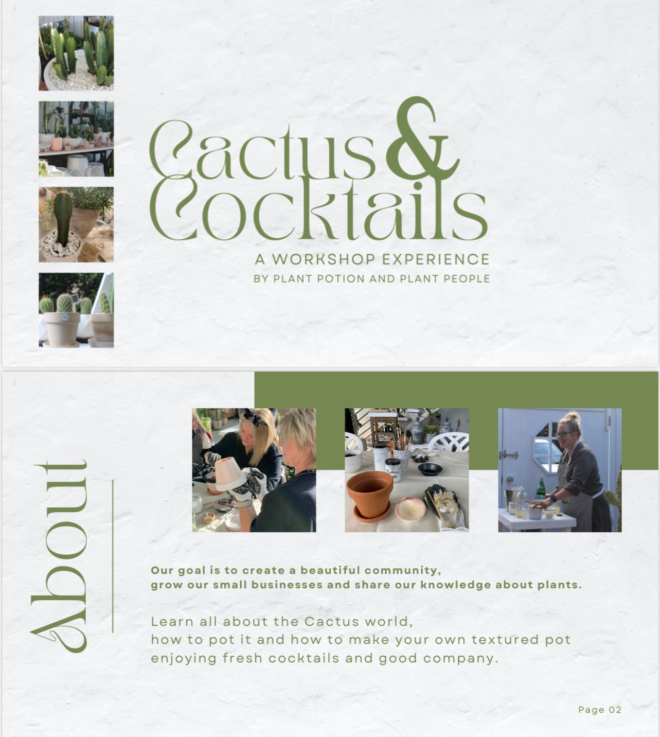 Cactus Workshop | Plant People