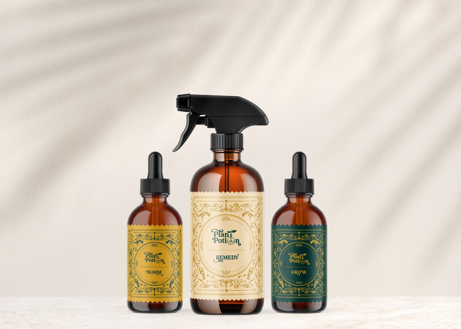 Plant People: Designer Plants & Pots | Statement Plants