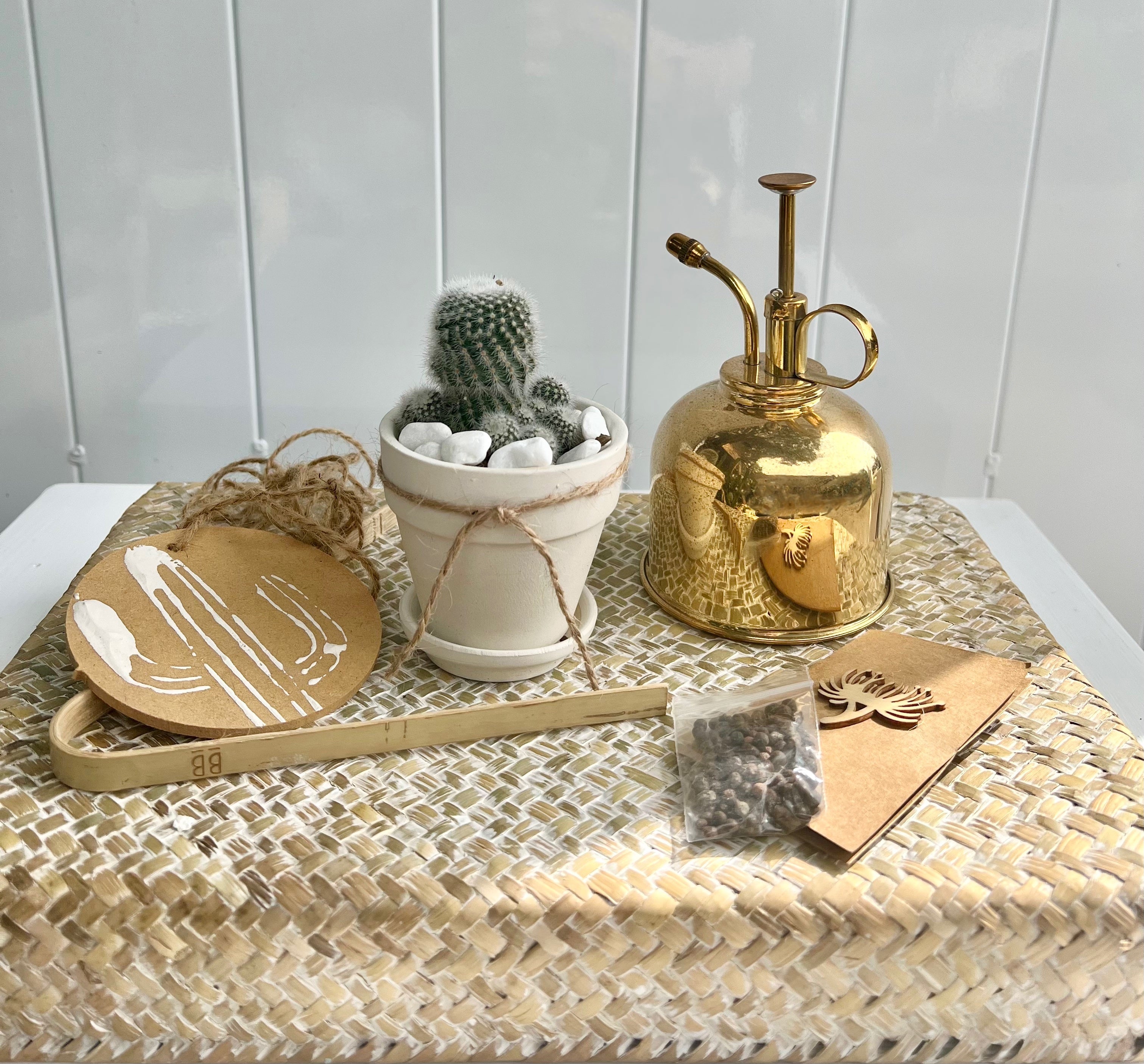 Cactus Kit | Plant People